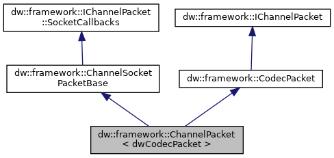 Compute Graph Framework SDK Reference: dw::framework::ChannelPacket Class Reference