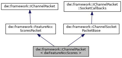 Compute Graph Framework SDK Reference: dw::framework::ChannelPacket Class Reference