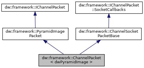 Compute Graph Framework SDK Reference: dw::framework::ChannelPacket Class Reference